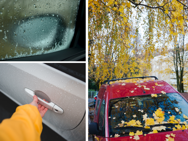 Nutzt du WhatsApp-Herzen komplett falsch? Das bedeuten die Farben wirklich